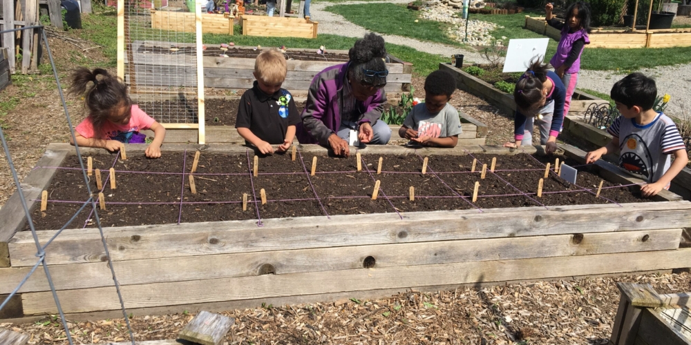 Developing an Accessible School Garden from Someone Who Has! | Lessons ...